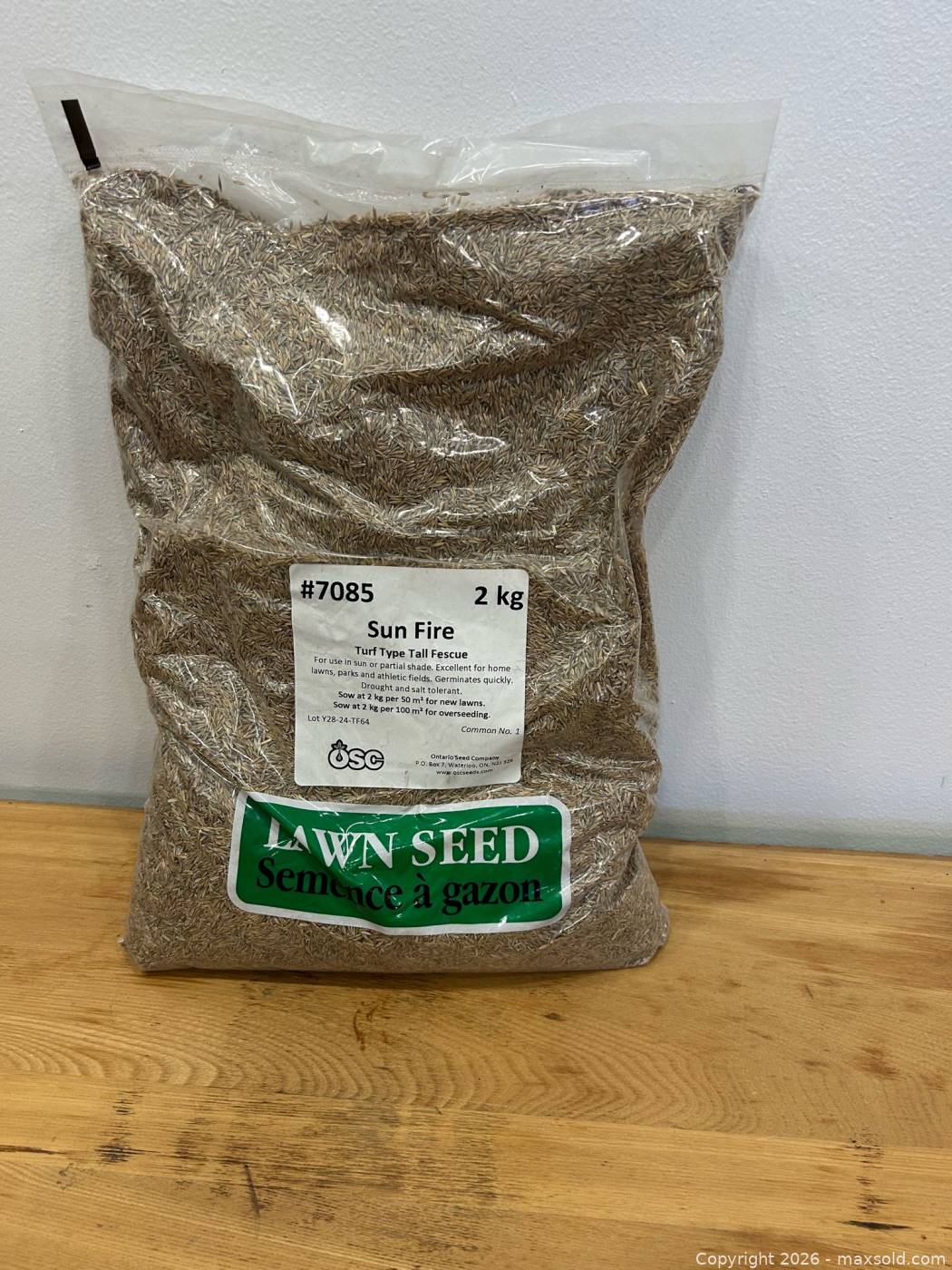 Sun Fire turf type tall fescue lawn seed 2 kg | Maxsold