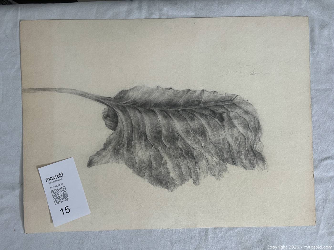 Double-Sided Signed Graphite Drawing, 14.5" x 20" | Maxsold