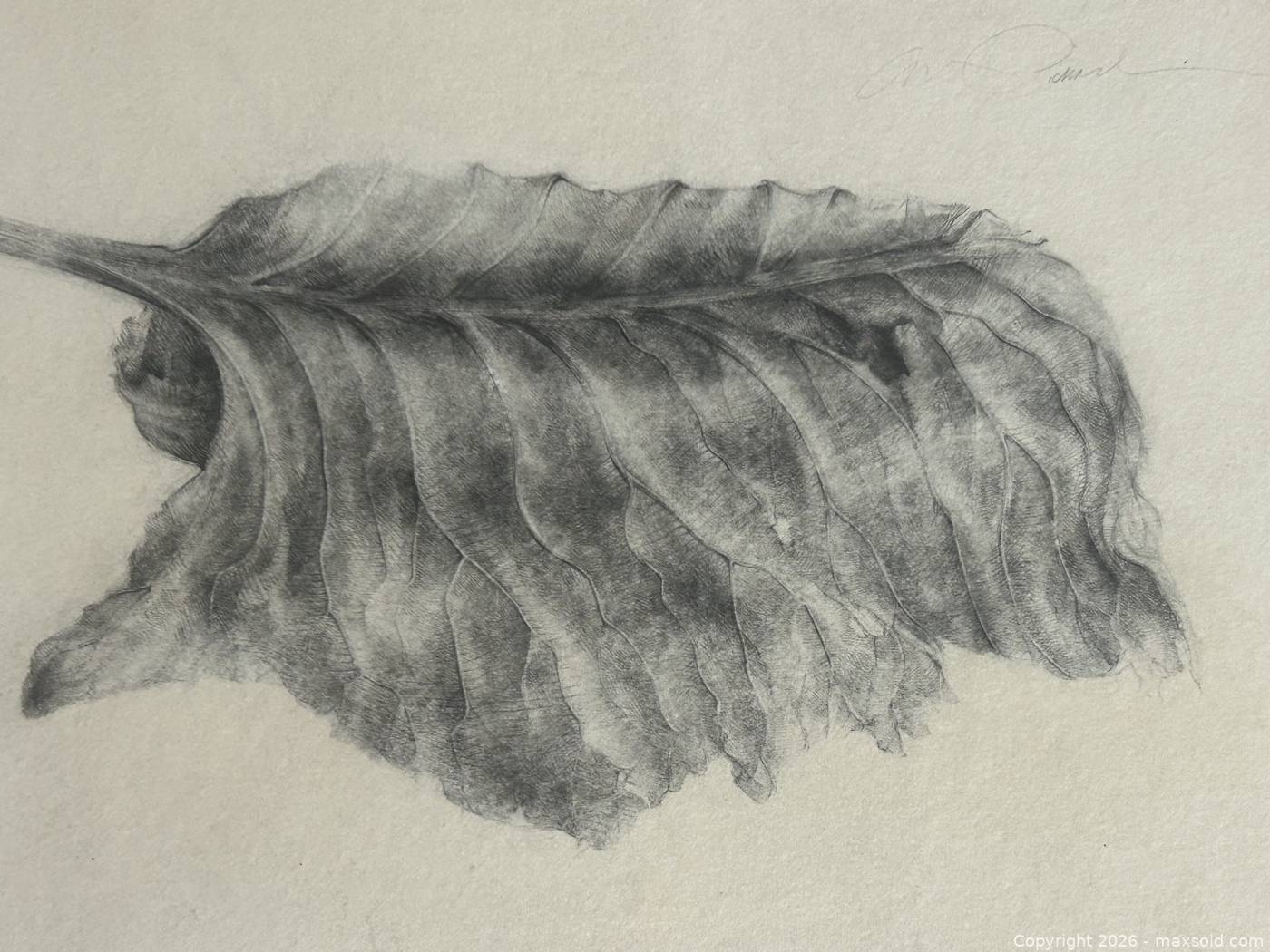 Double-Sided Signed Graphite Drawing, 14.5" x 20" | Maxsold