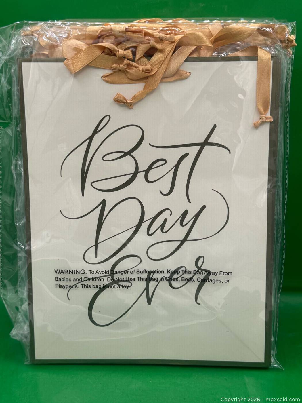 20 “Best Day Ever” Gift Bags | Maxsold