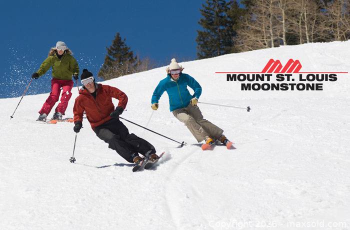 Pair of Adult Day/Night Lift Tickets | Maxsold
