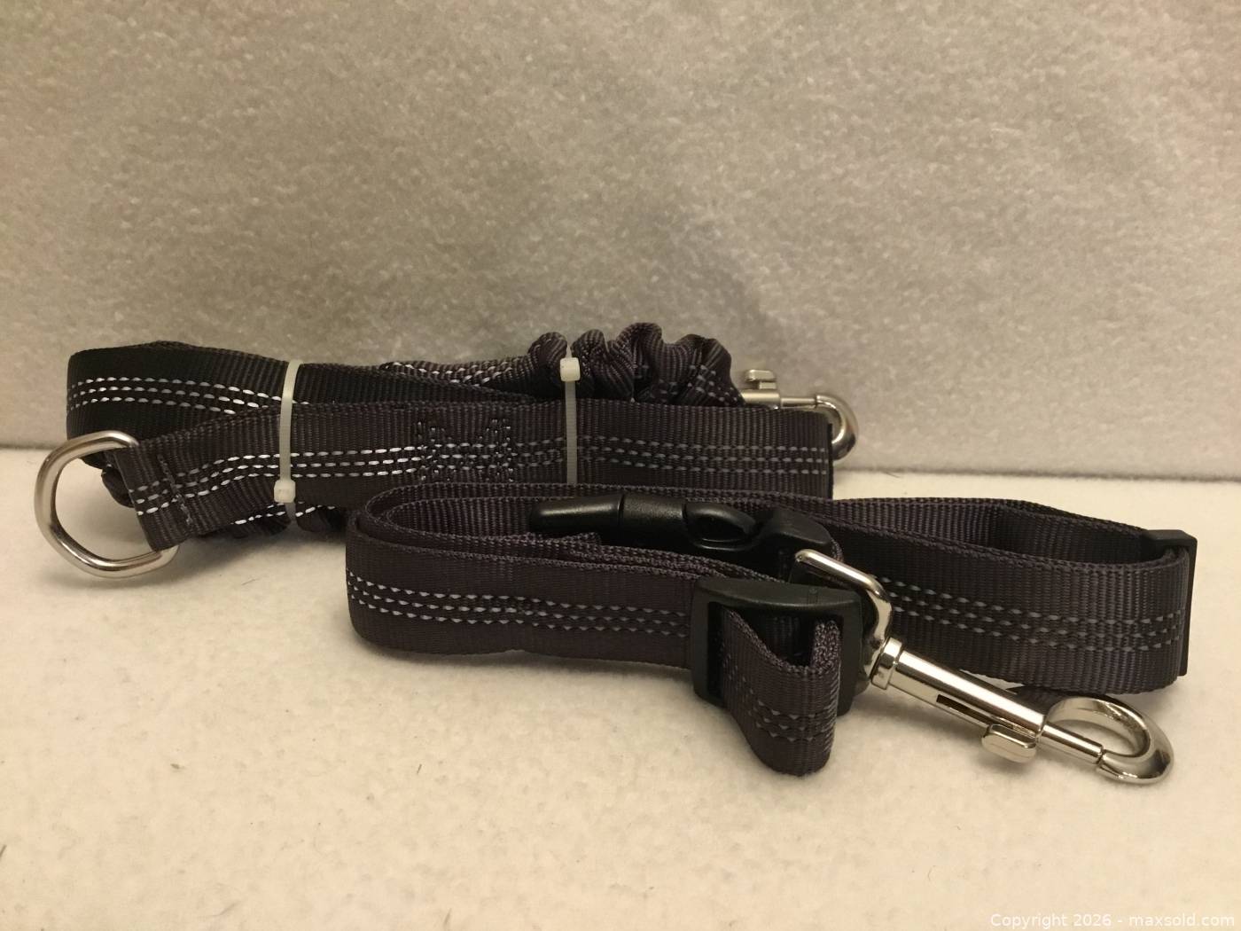 Dog Leash And Collar Set XL | Maxsold