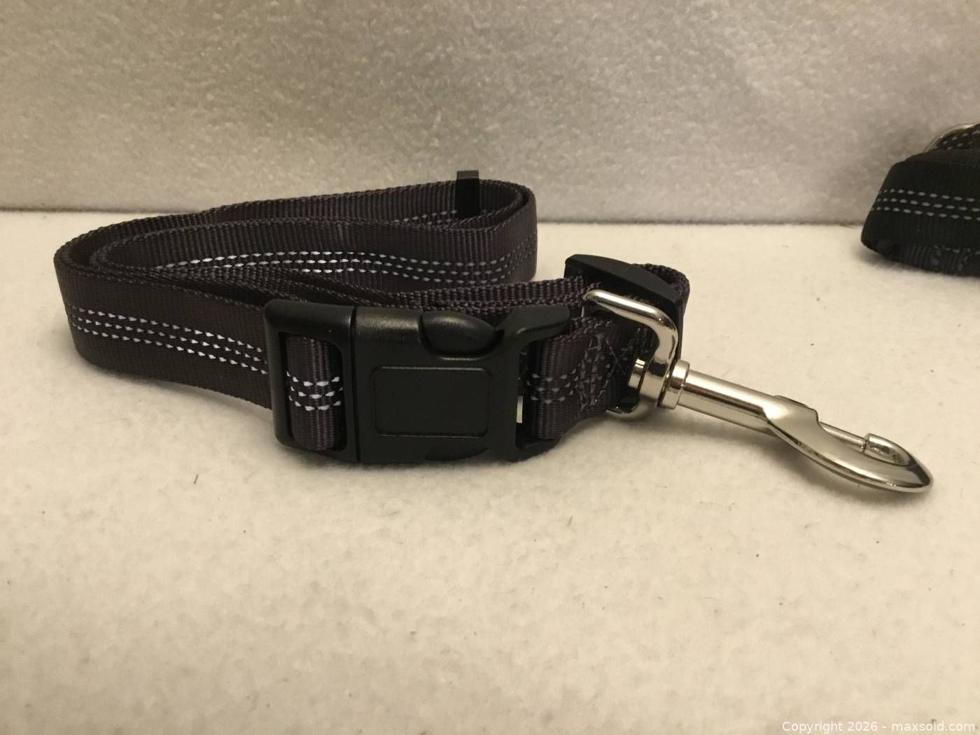 Dog Leash And Collar Set XL | Maxsold