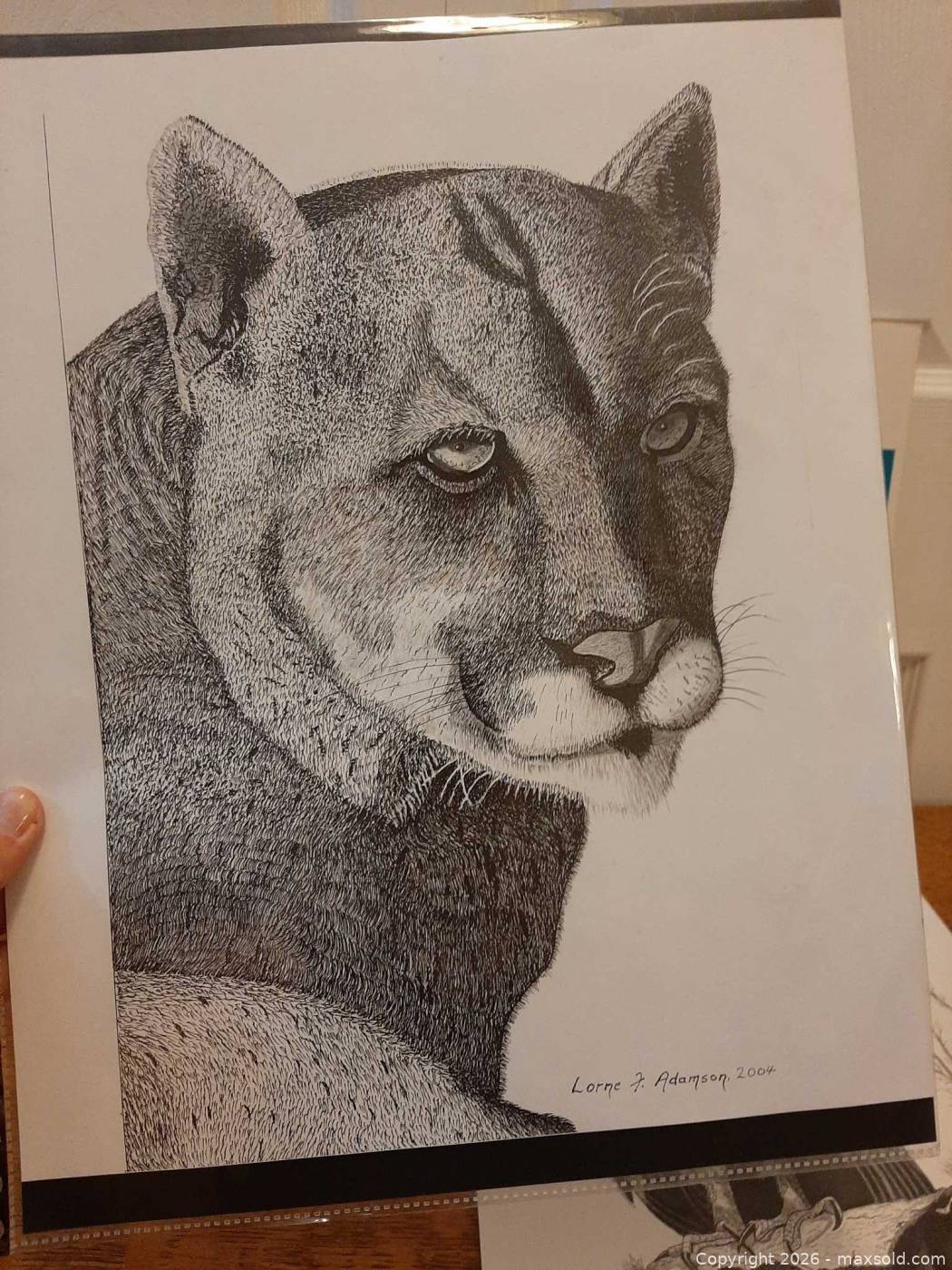 Art supply and sketch print collection | Maxsold