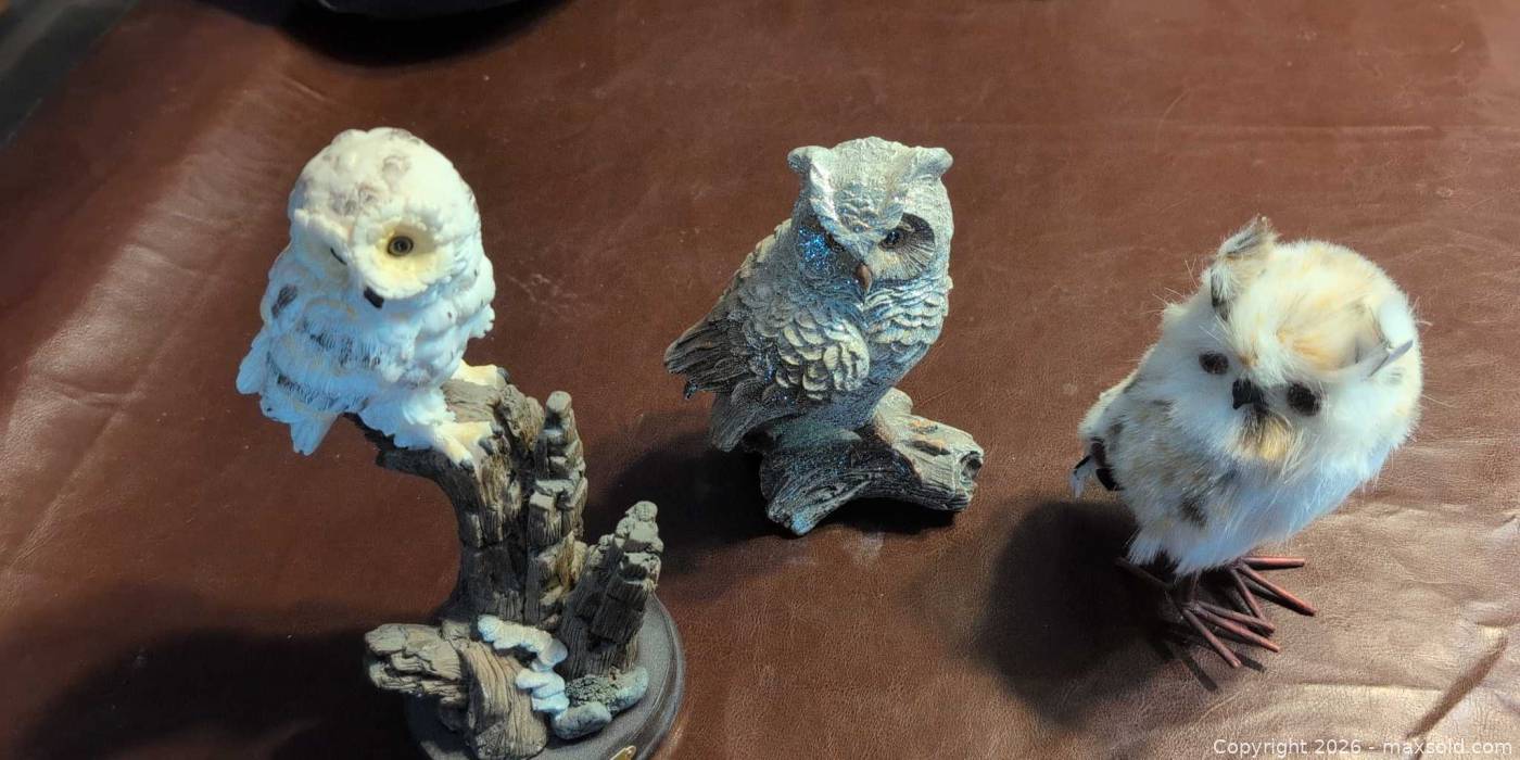 Three owl figurines 9-6 inch | Maxsold