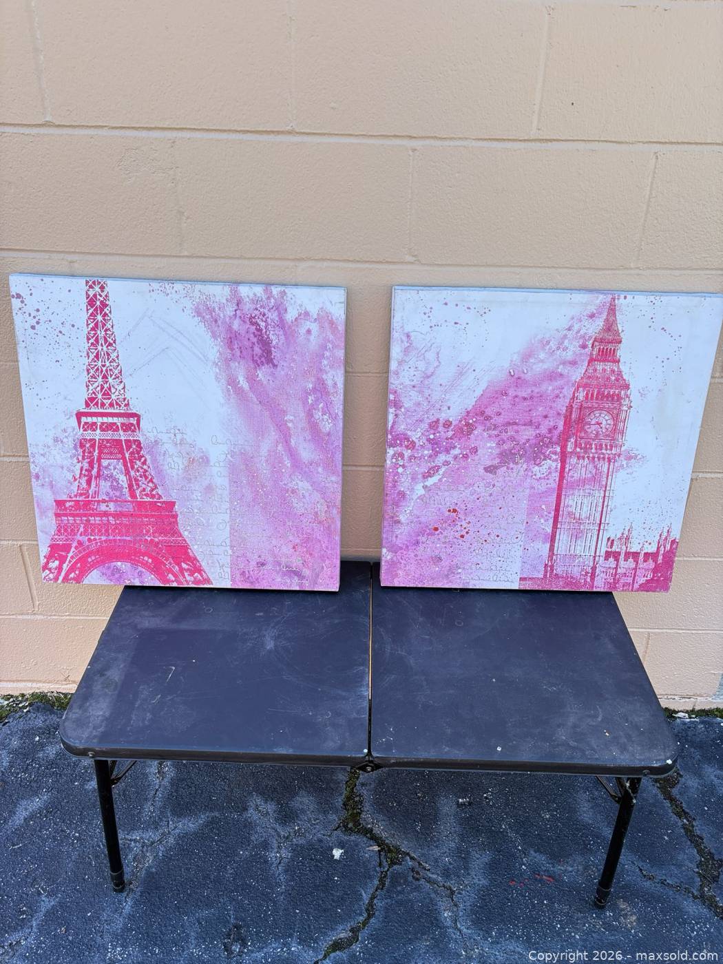 Two 24x24 in Pink Landmark Canvas Prints | Maxsold