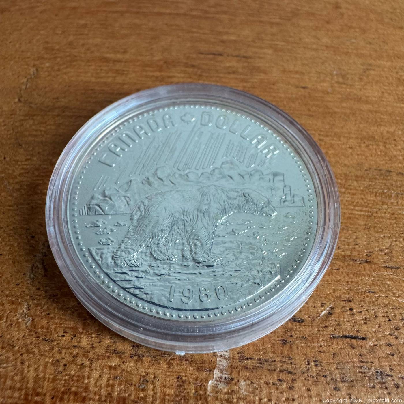 1980 Canada Polar Bear Silver Dollar Coin | Maxsold