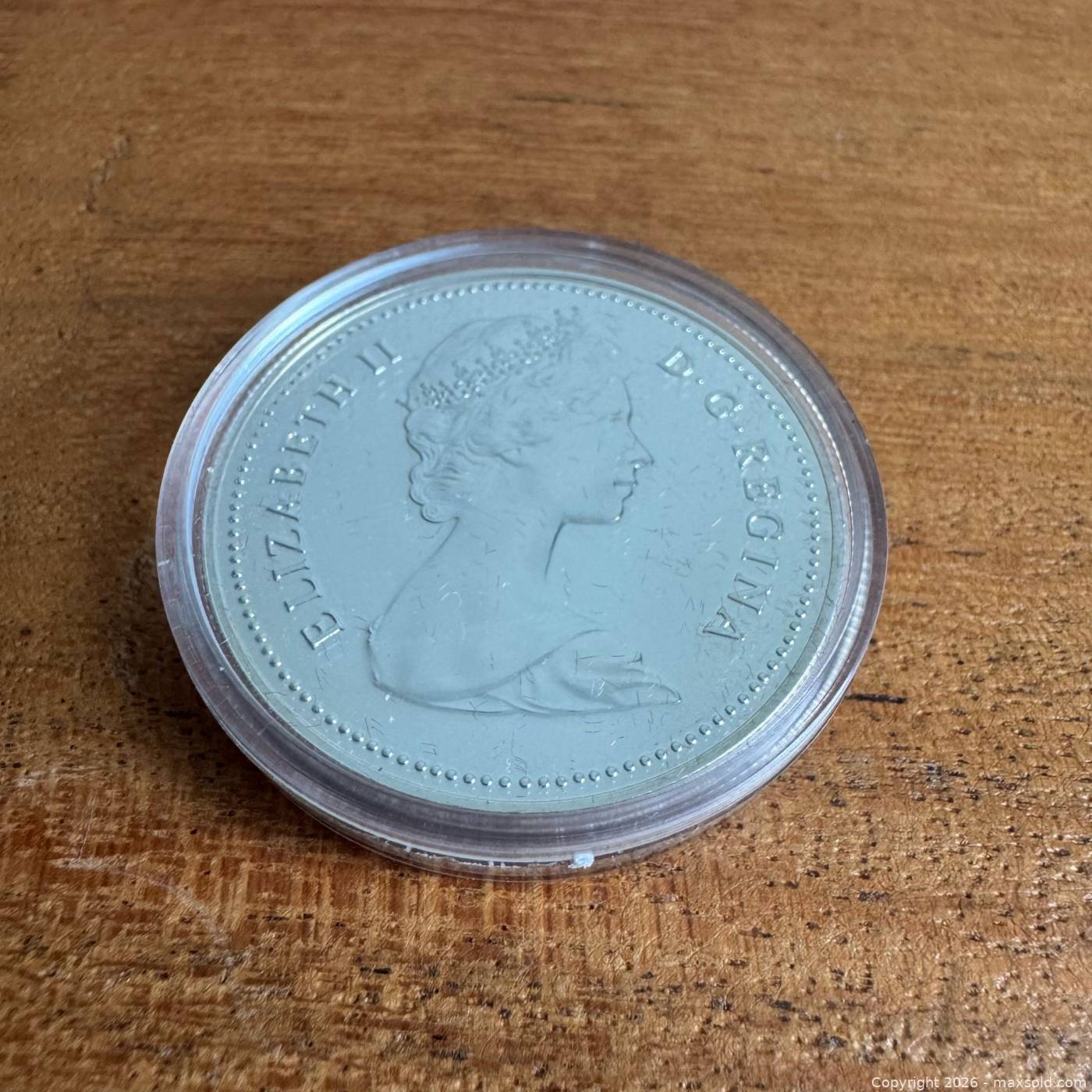 1980 Canada Polar Bear Silver Dollar Coin | Maxsold