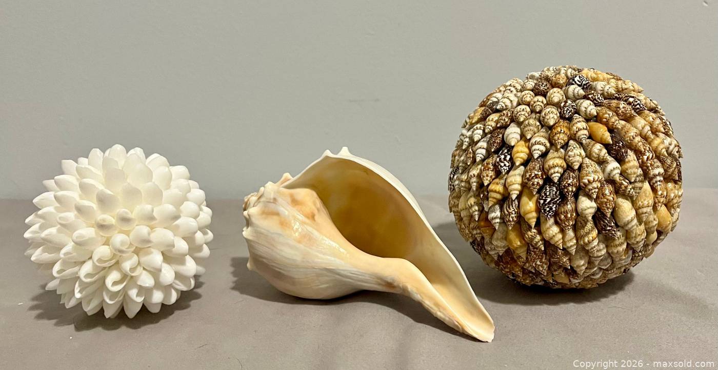 Decorative shell balls and conch shell | Maxsold