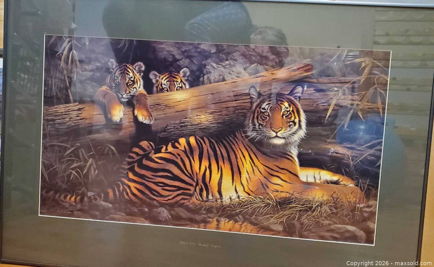 Joe Hantman Tiger Family framed print | Maxsold
