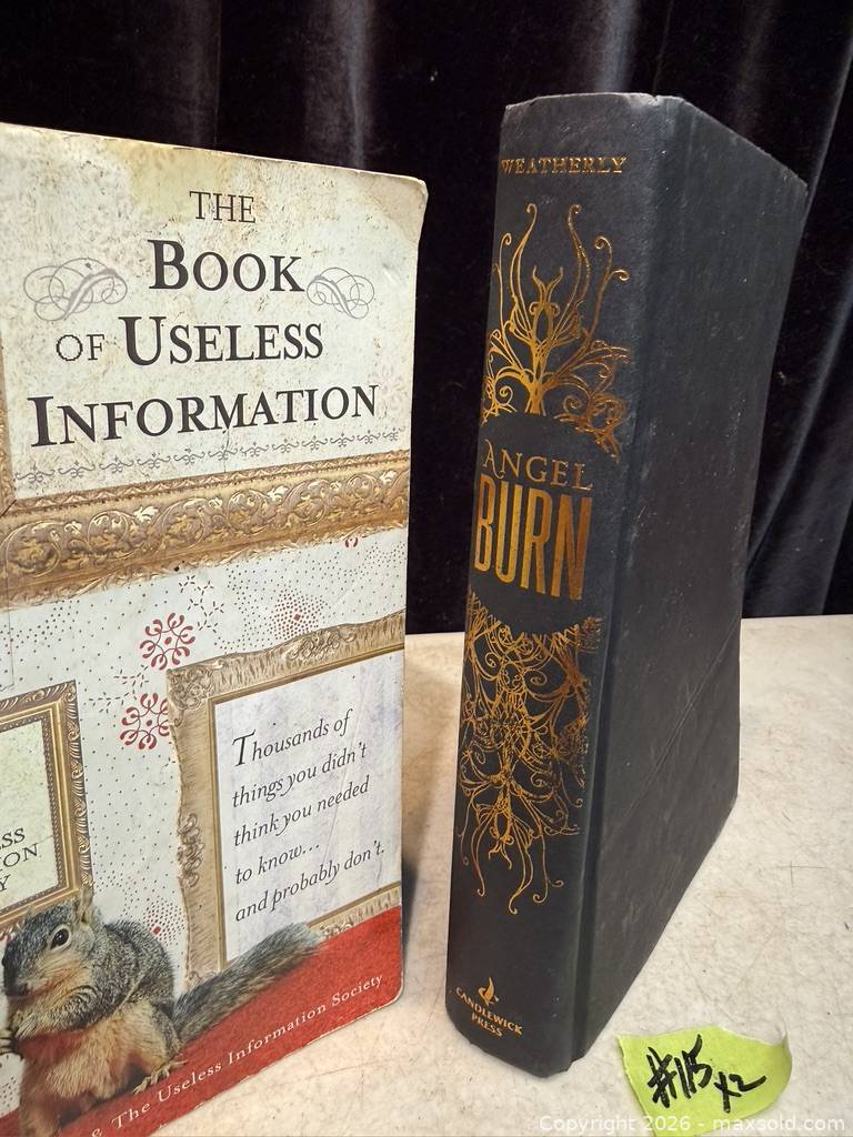 2 Books: Angel Burn & The Book of Useless Information | Maxsold