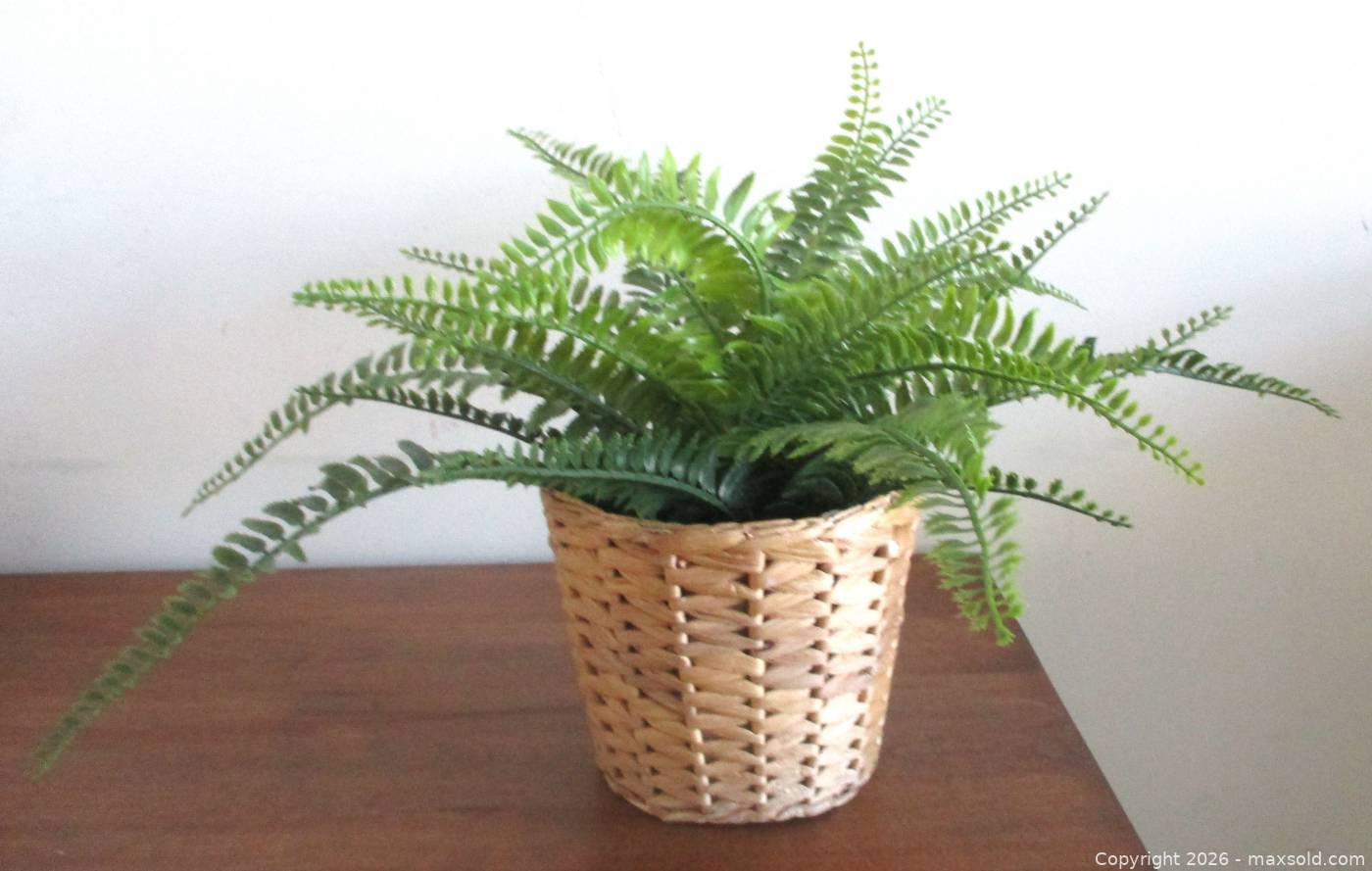 IKEA faux Boston fern in FRIDFULL wicker basket | Maxsold
