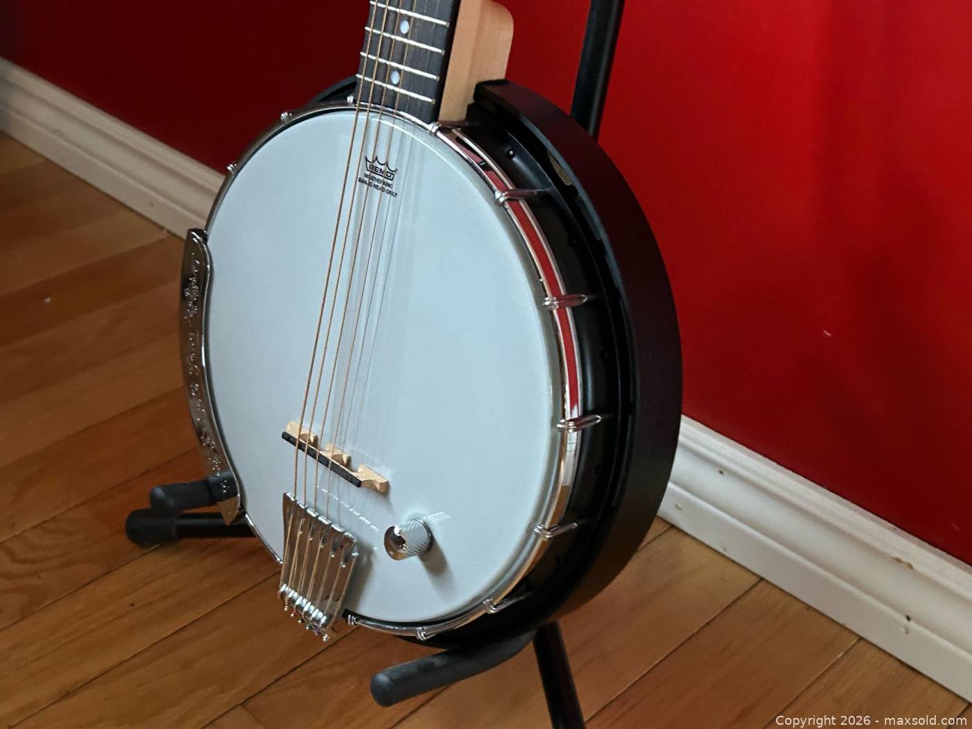 Gold Tone I-AC-6+ 6-String Acoustic-Electric Banjitar With Case | Maxsold