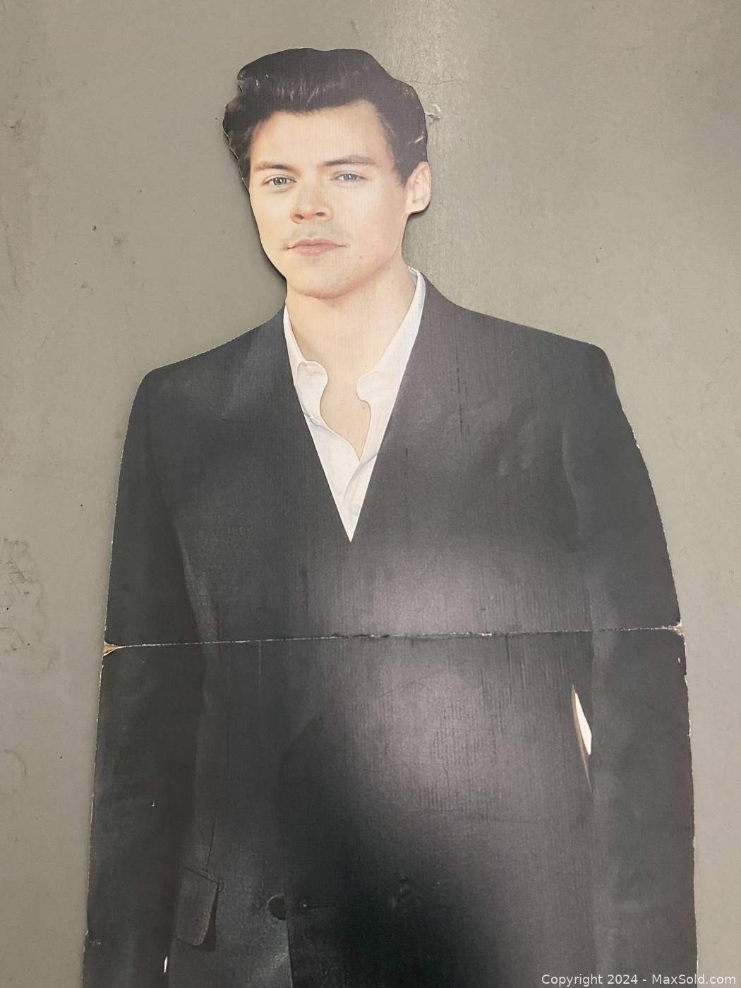 Harry Styles Celebrity Cardboard Standee Does Not Stand | Maxsold