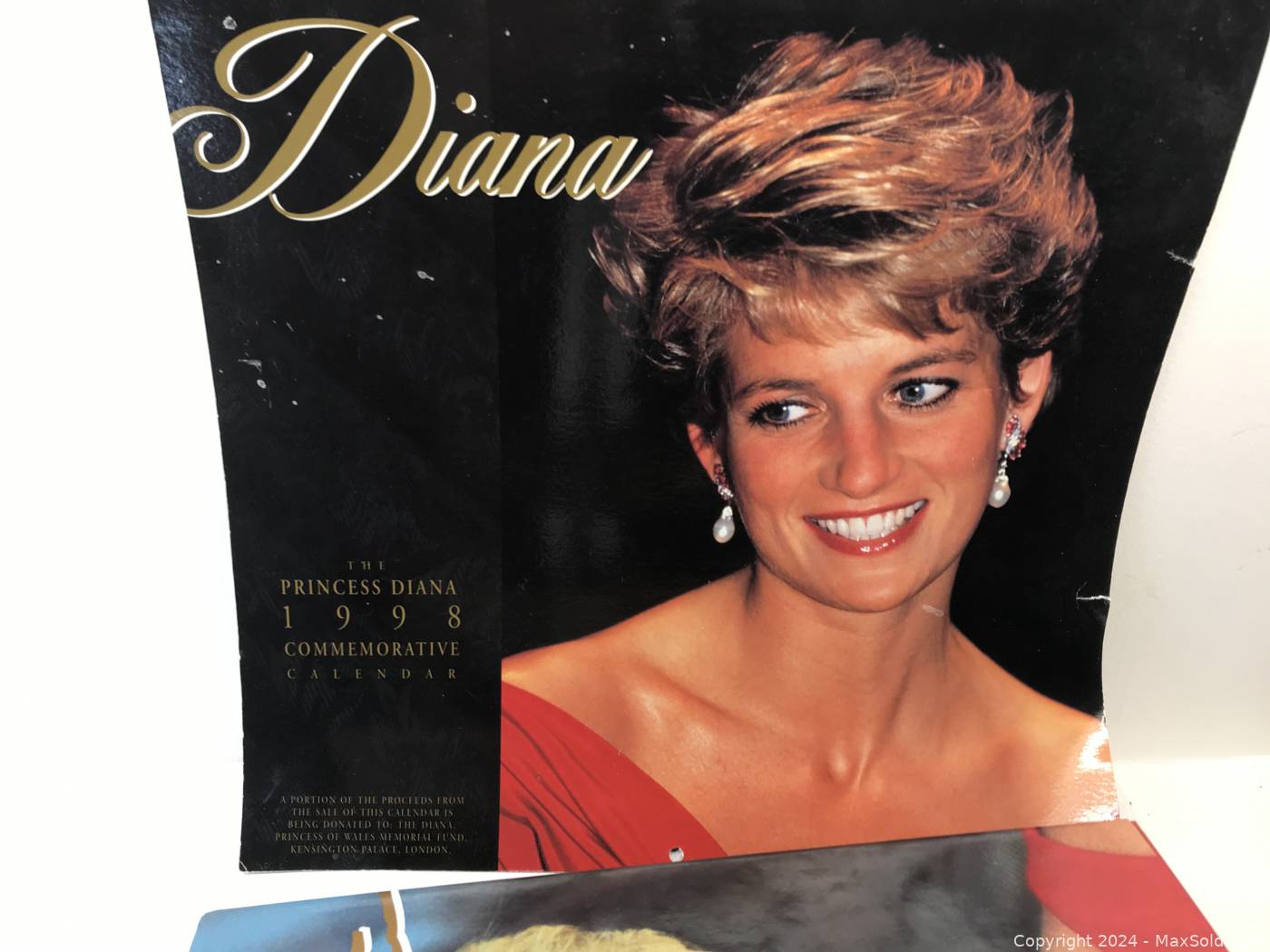 Princess Diana Memorabilia Collection | Maxsold