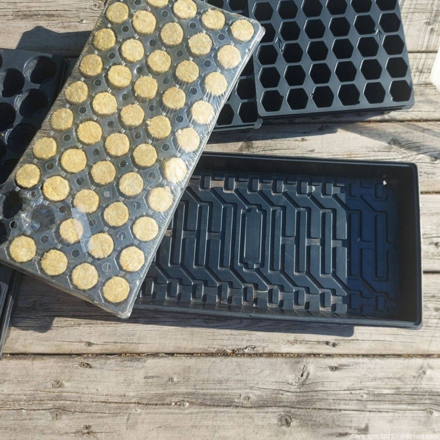 Seed starting trays and rock wool plugs | Maxsold