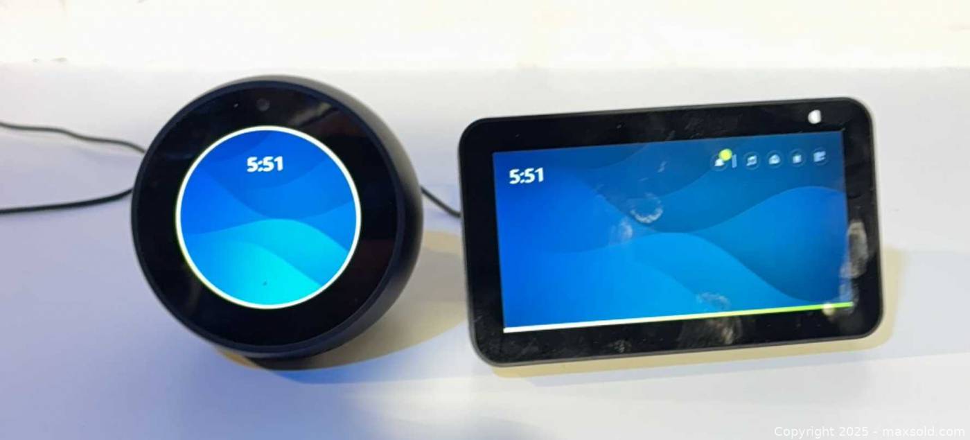 Amazon Echo Spot and Echo Show 5 smart displays | Maxsold