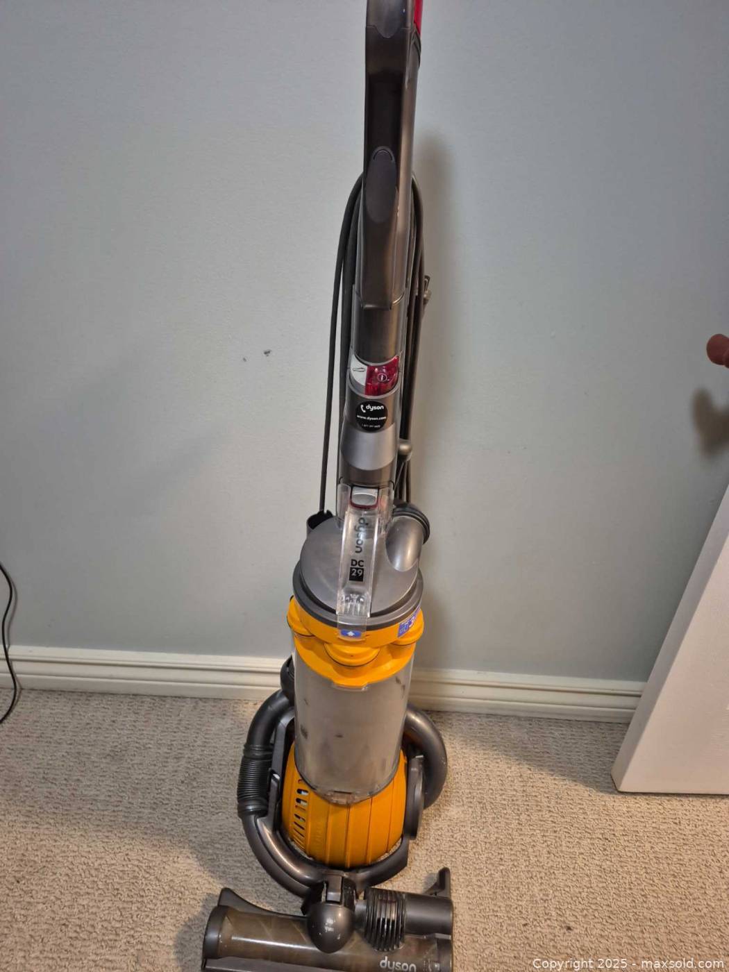 Dyson DC29 upright bagless vacuum cleaner | Maxsold