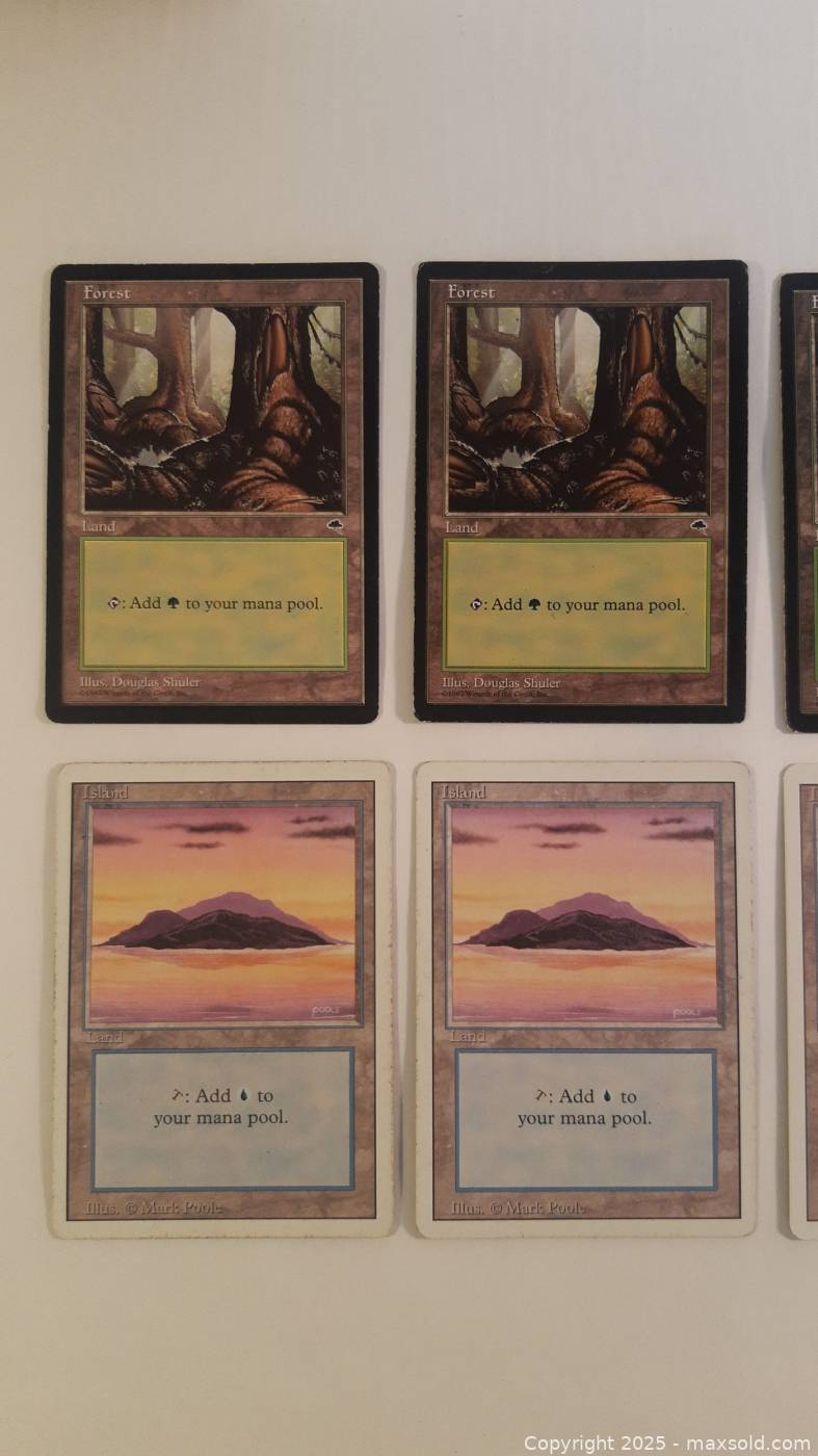 Magic: The Gathering 10 Basic Land Cards | Maxsold
