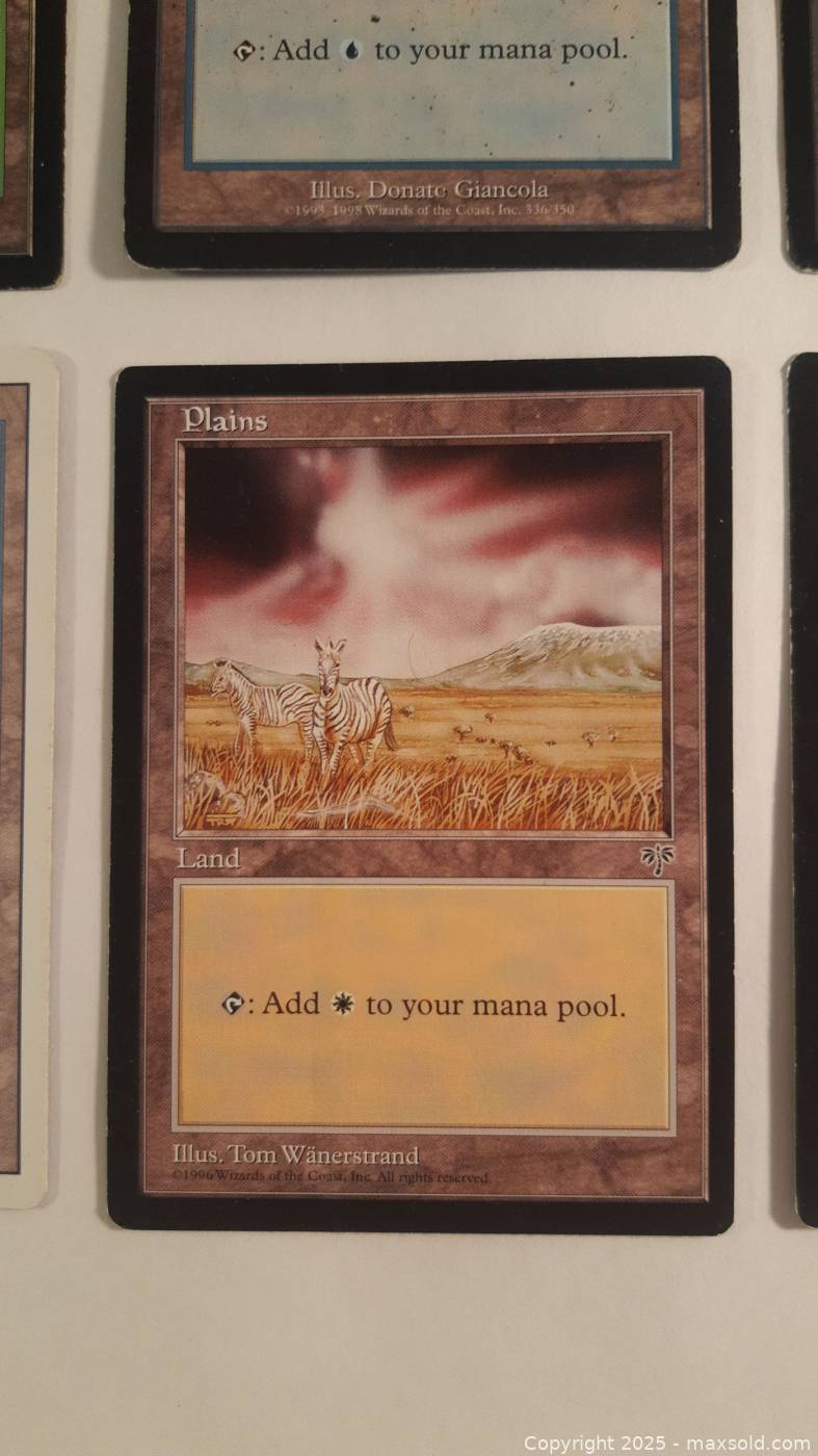 Magic: The Gathering 10 Basic Land Cards | Maxsold
