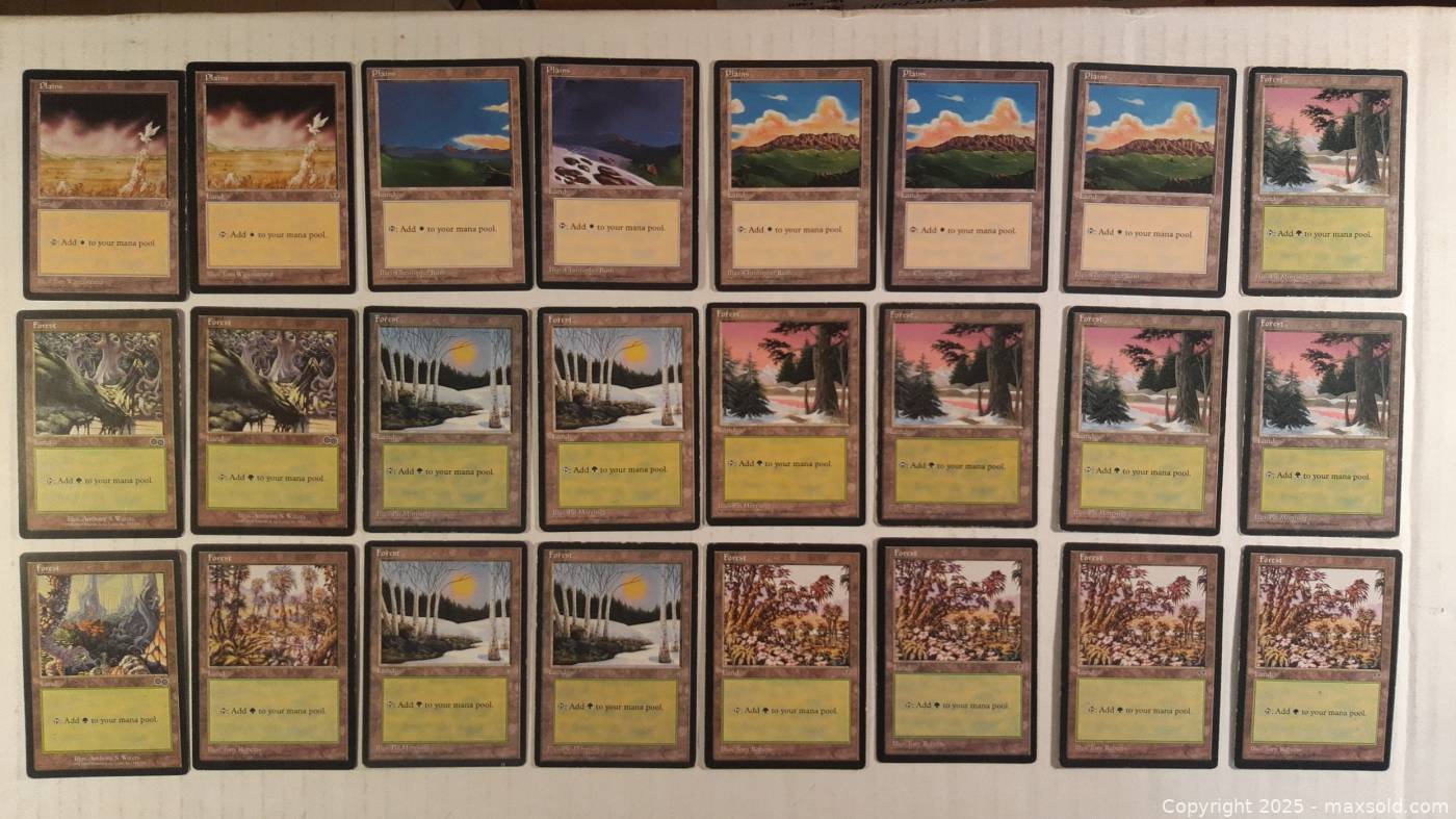 24 black-border Magic: The Gathering basic lands | Maxsold