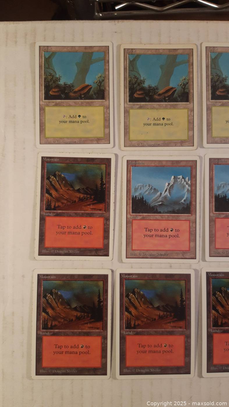 Magic: The Gathering 24 basic land cards | Maxsold