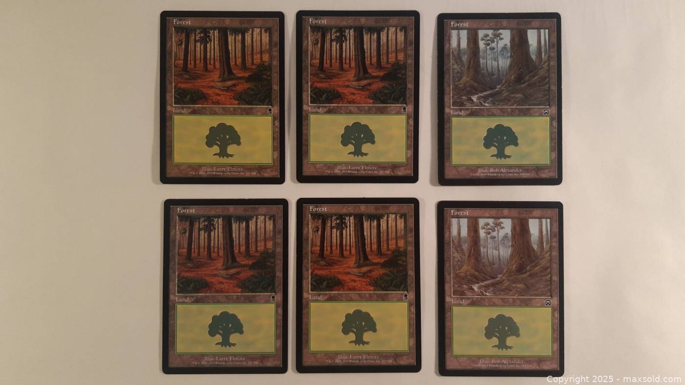 Magic: The Gathering 6 Forest Basic Land Cards | Maxsold