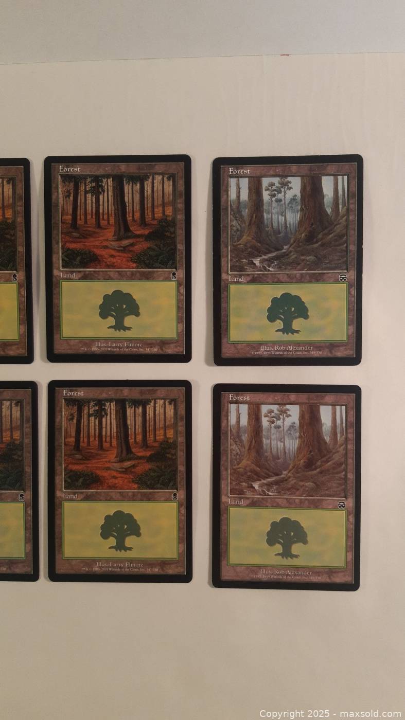 Magic: The Gathering 6 Forest Basic Land Cards | Maxsold