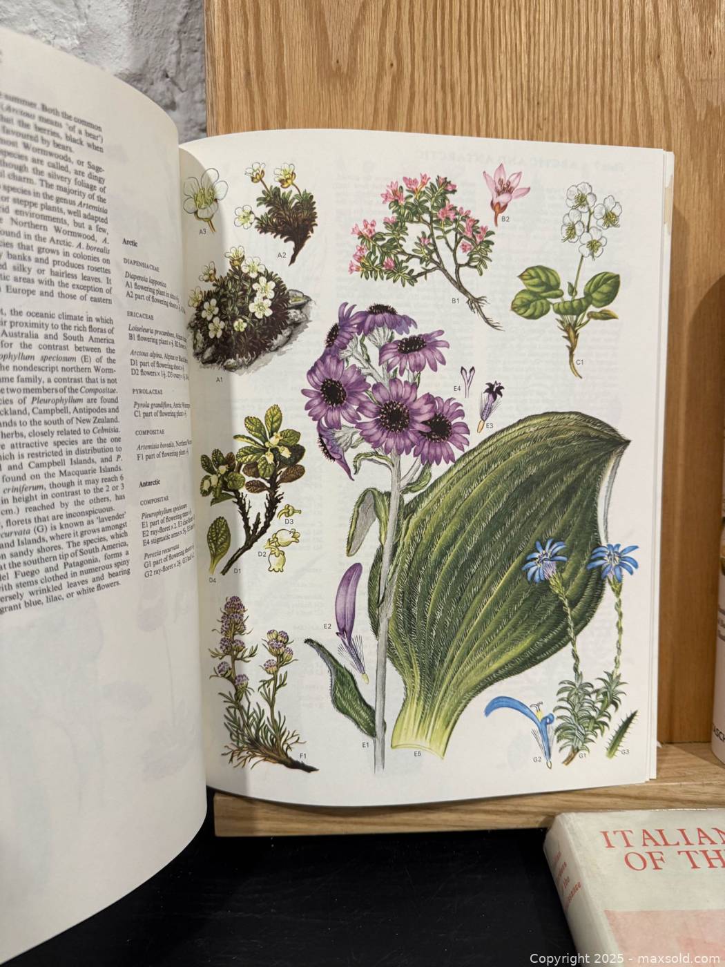 Botanical and Garden Reference Books | Maxsold