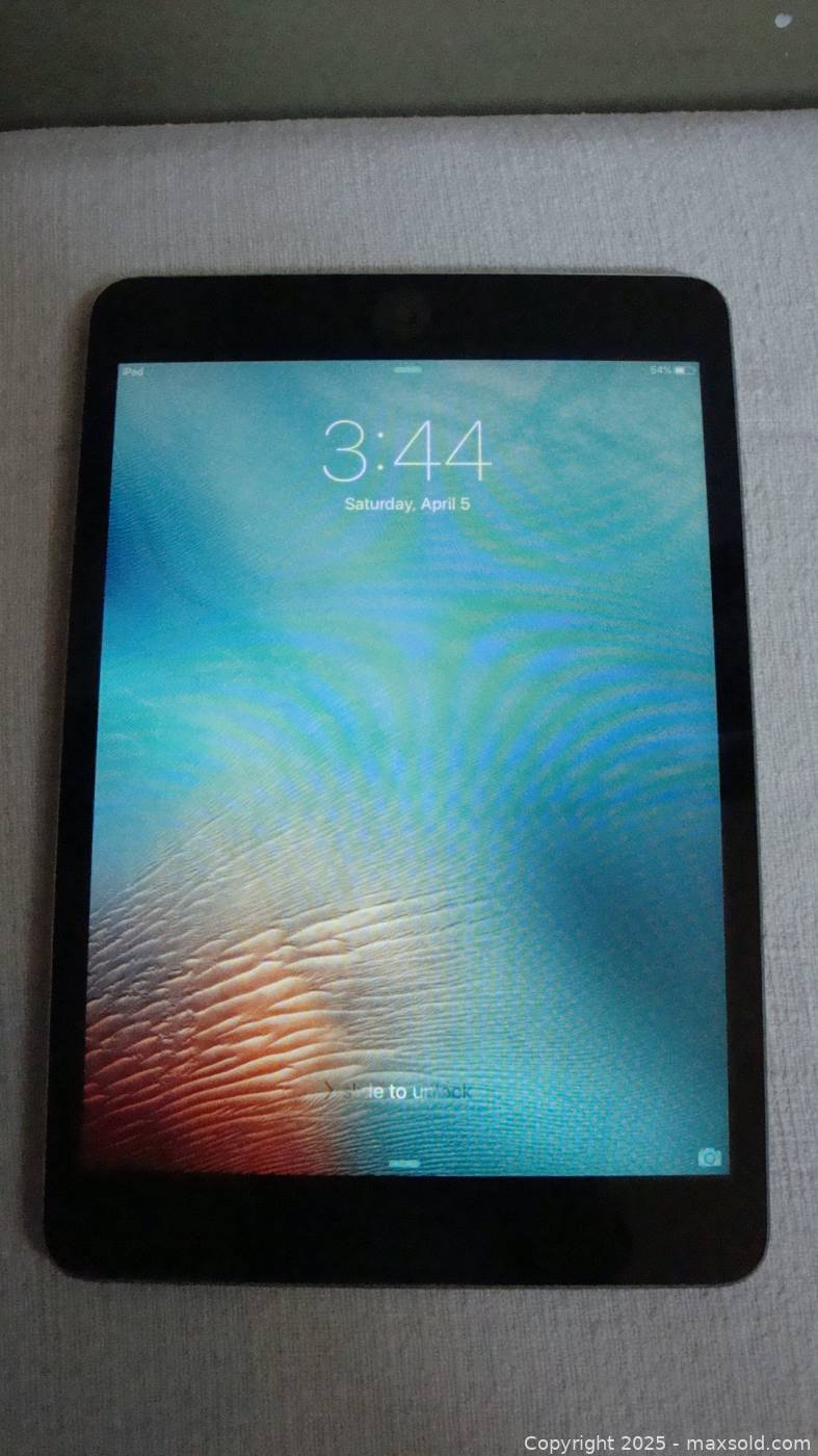 Apple iPad mini 16GB with cases | Maxsold