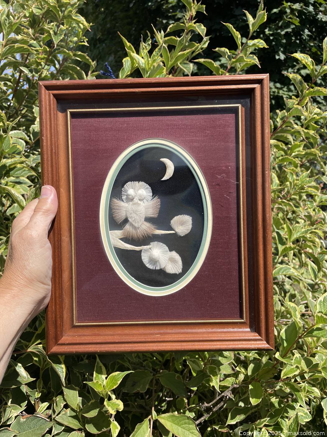 Framed Caribou Hair Tufting By Myrtle Demeulles | Maxsold