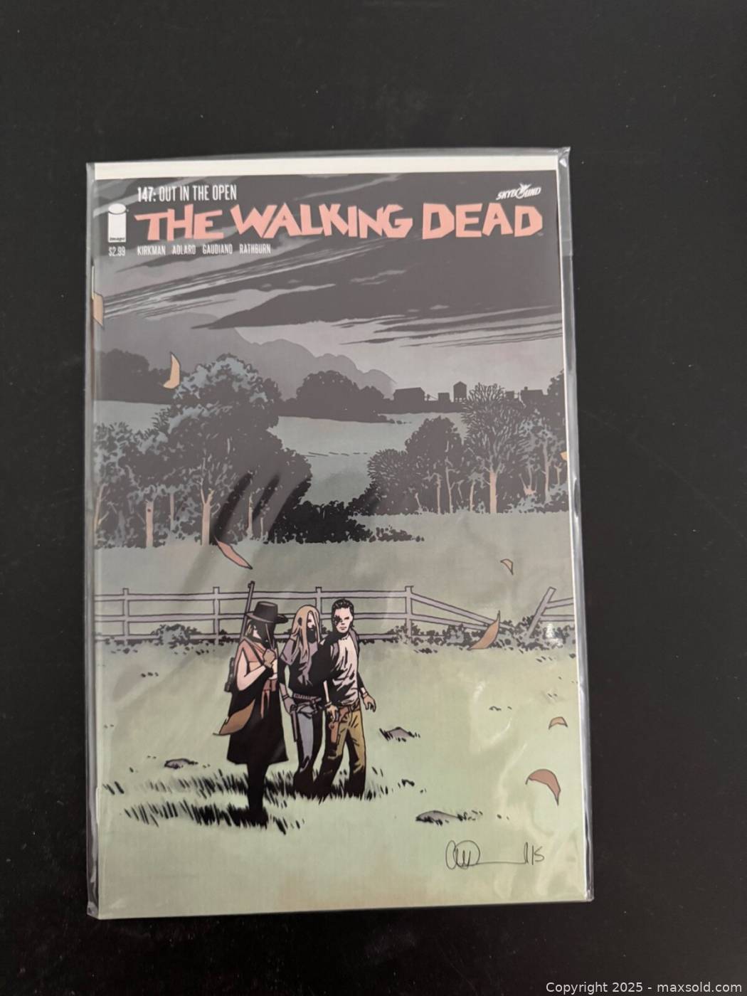 The Walking Dead Comic Book Issue #147 | Maxsold