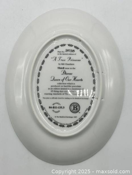 Princess Diana oval porcelain plate | Maxsold