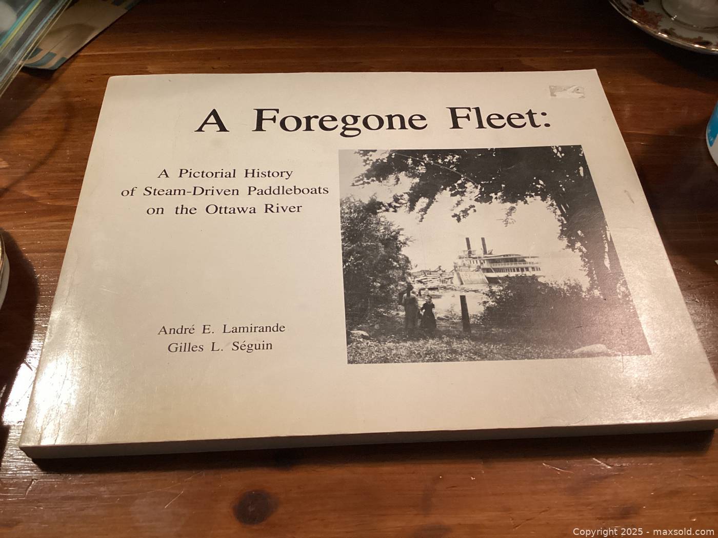 A Foregone Fleet: A Pictorial History of Steam-Driven Paddleboats on ...