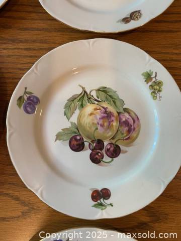 Six Fruit Motif German Luncheon Plates | Maxsold