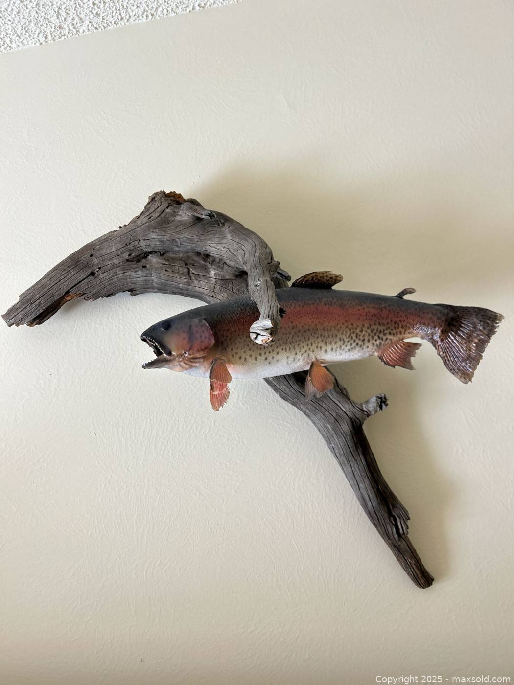 Faux Fish on Driftwood Wall Decor | Maxsold
